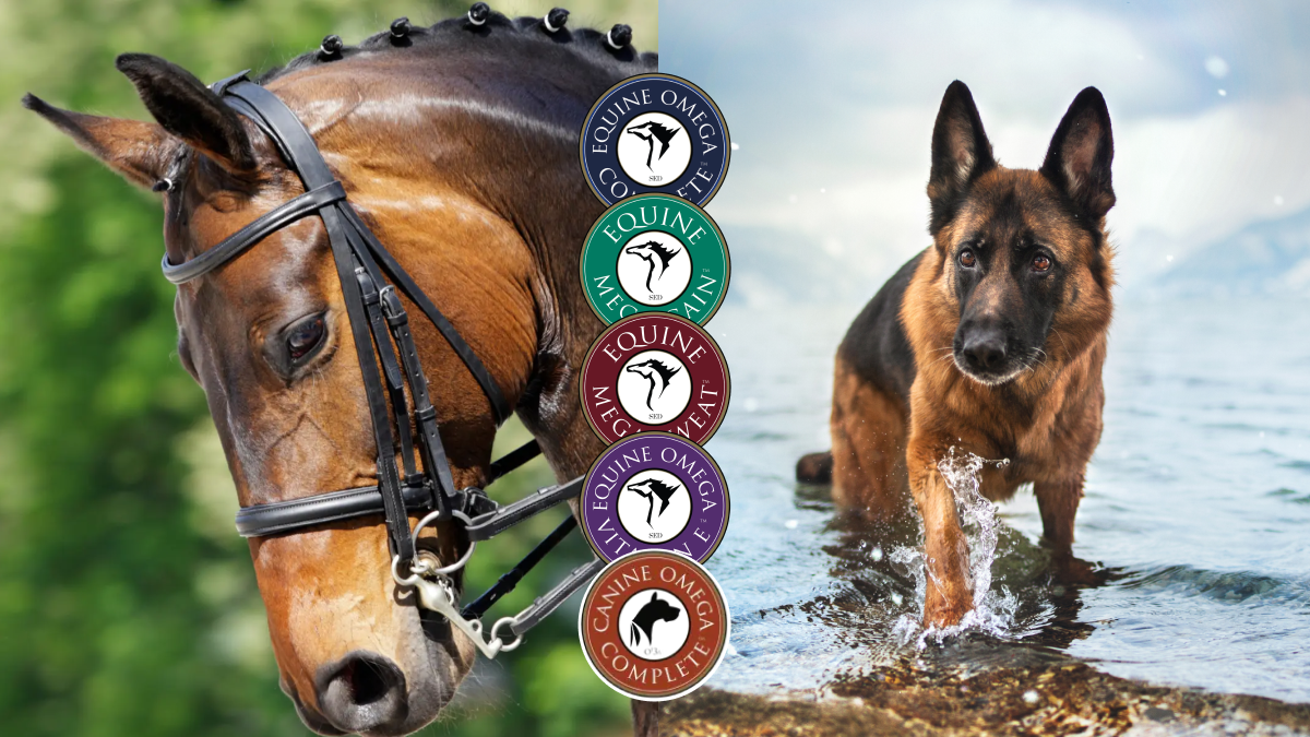 Shop All Categories Archives | Southern Equine Distributing