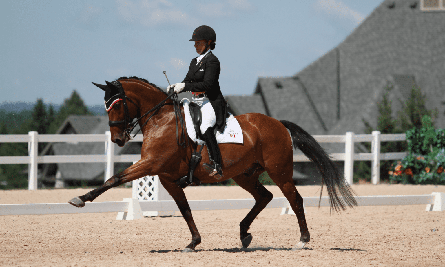 Our Interview with Maya Markowski | Southern Equine Distributing