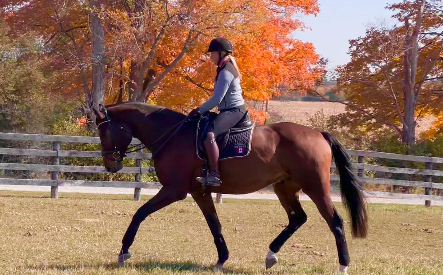 Our Interview with Maya Markowski | Southern Equine Distributing