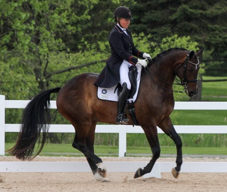 Our Interview with Maya Markowski | Southern Equine Distributing